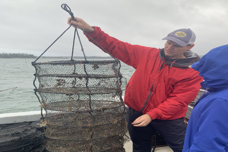Farming Sea Scallops in Maine | NOAA Fisheries Farming Sea Scallops in Maine | NOAA Fisheries