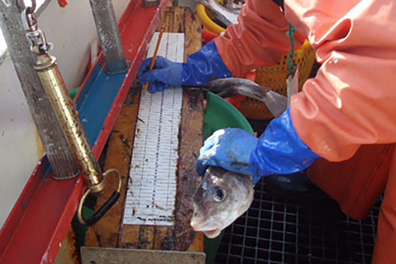 Fishery Monitoring Service Providers for the Northeast and Mid-Atlantic ...